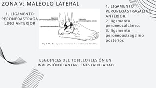 pie y tobillo.pptx semiología de pie y tobillo | PPTX