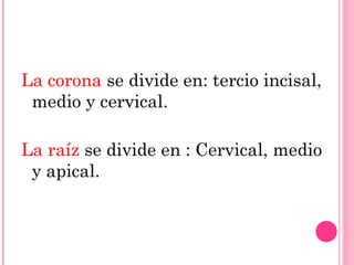 Piezas dentales | PPT