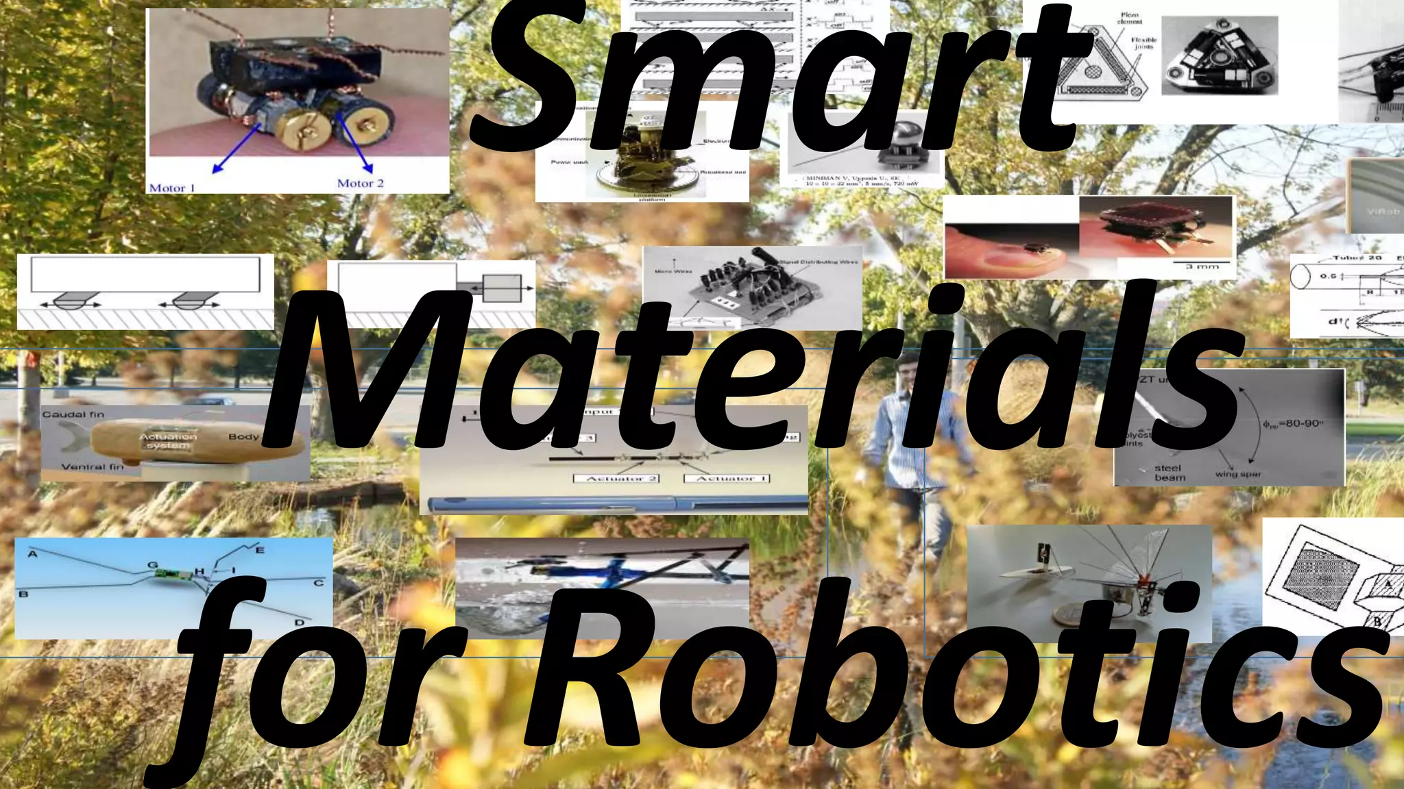 Piezoelectric actuation for mobile miniature robot | PPT
