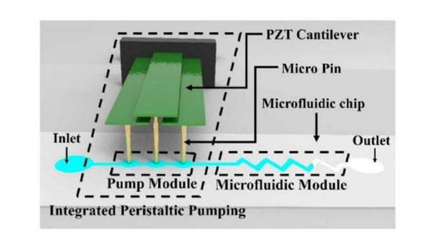Piezoelectric peristaltic micropump integrated on a microfluidic chip ...