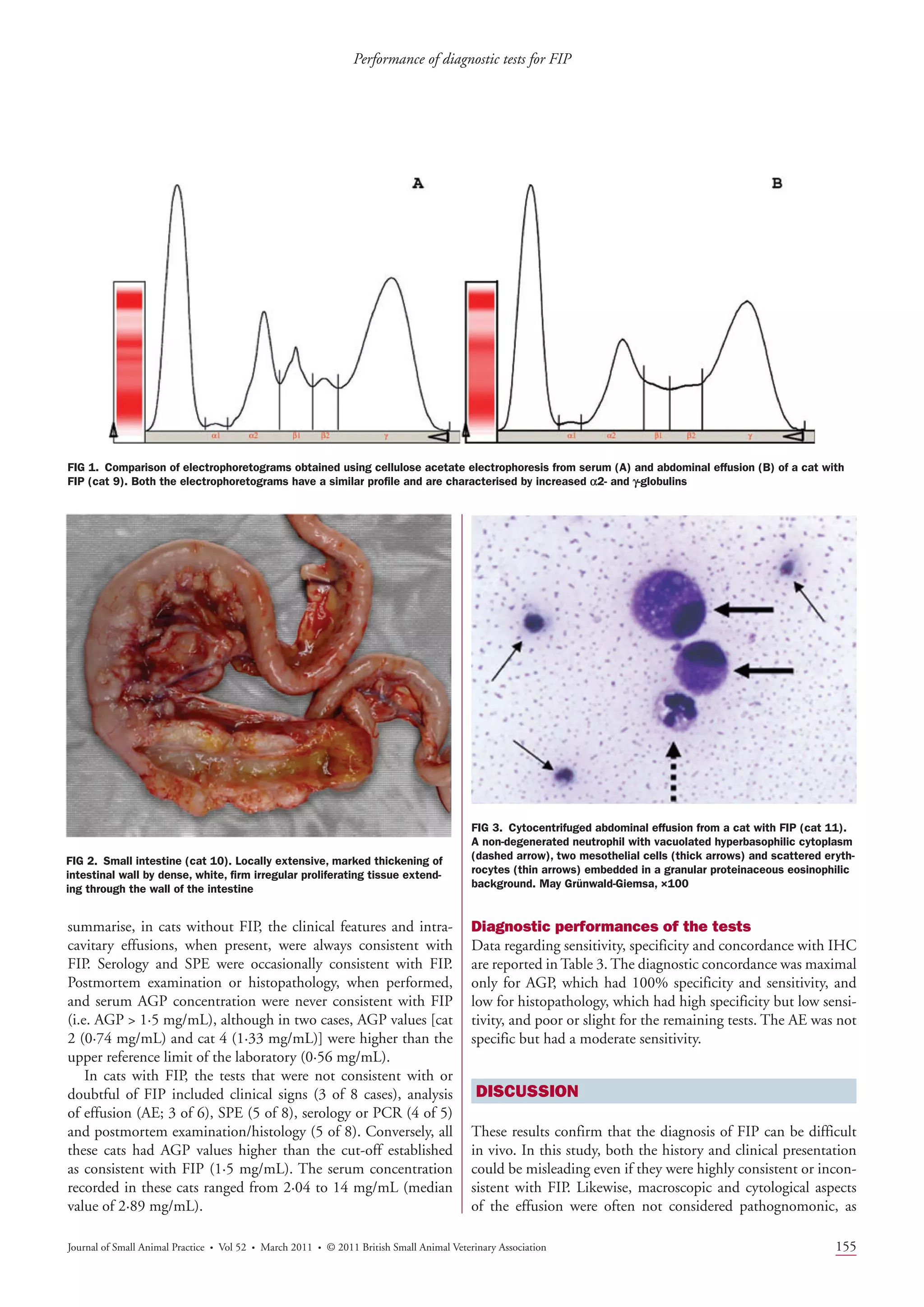 PIF diagnóstico.pdf