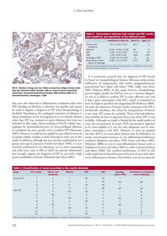 PIF diagnóstico.pdf