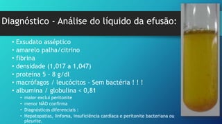 Peritonite Infecciosa Felina PIF | PPTX