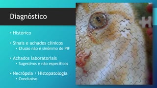 Peritonite Infecciosa Felina PIF | PPT