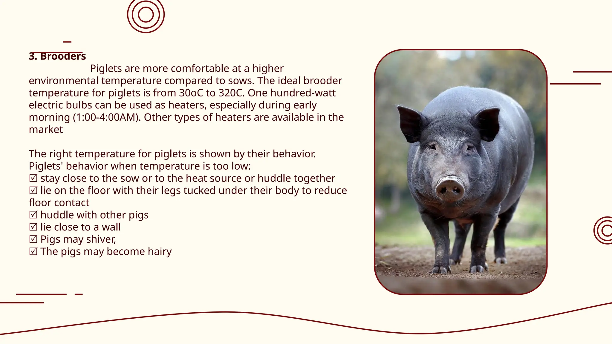 *Proper_Handling_of_Hogs_and_The_Important_Nutrient_Needed | PPTX