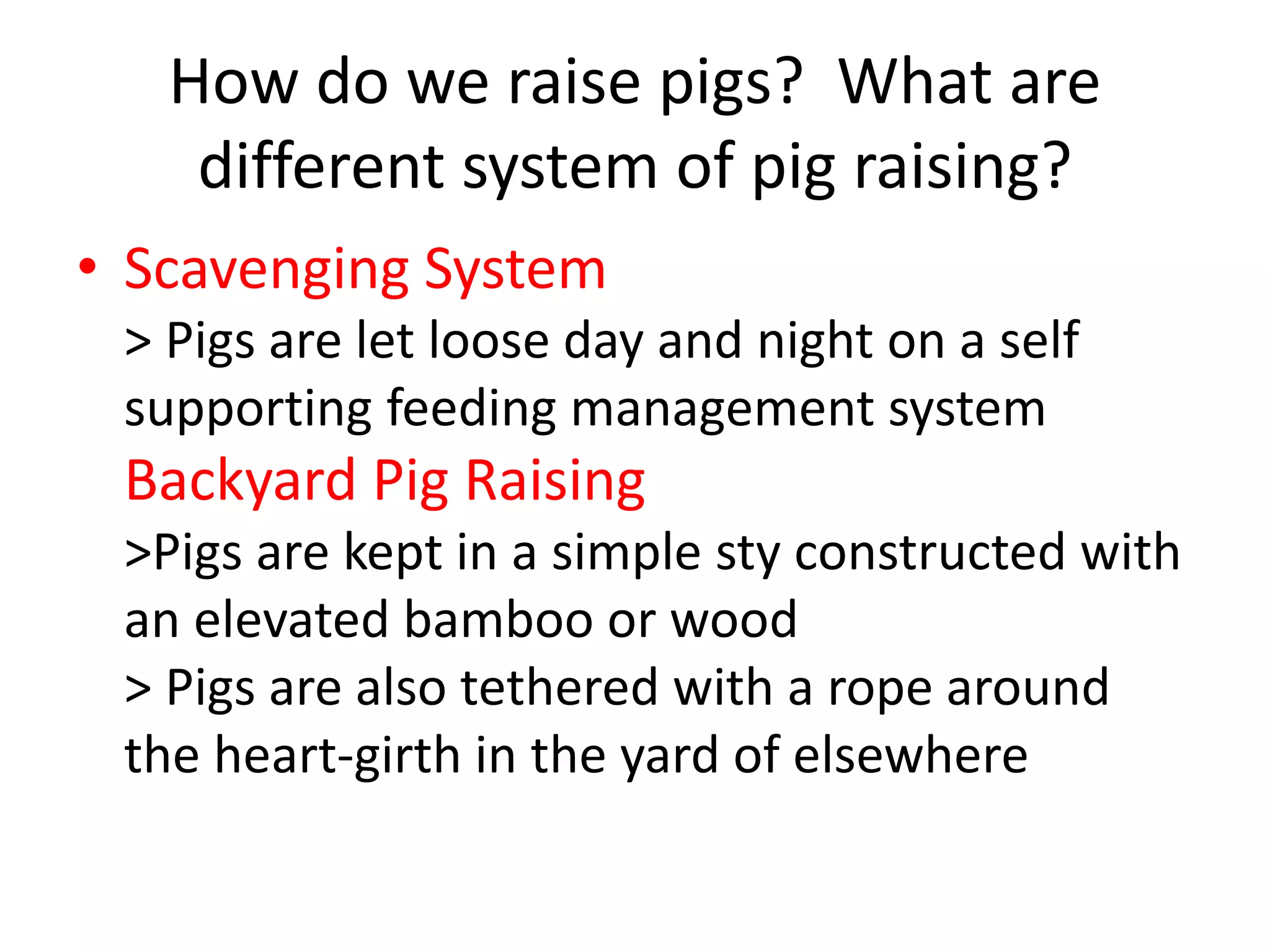 Pig production | PPTX