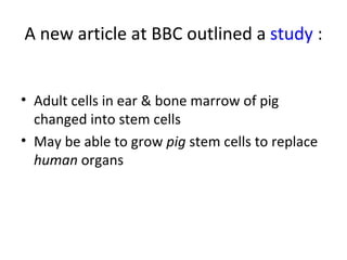 Pig Stem Cells | PPT