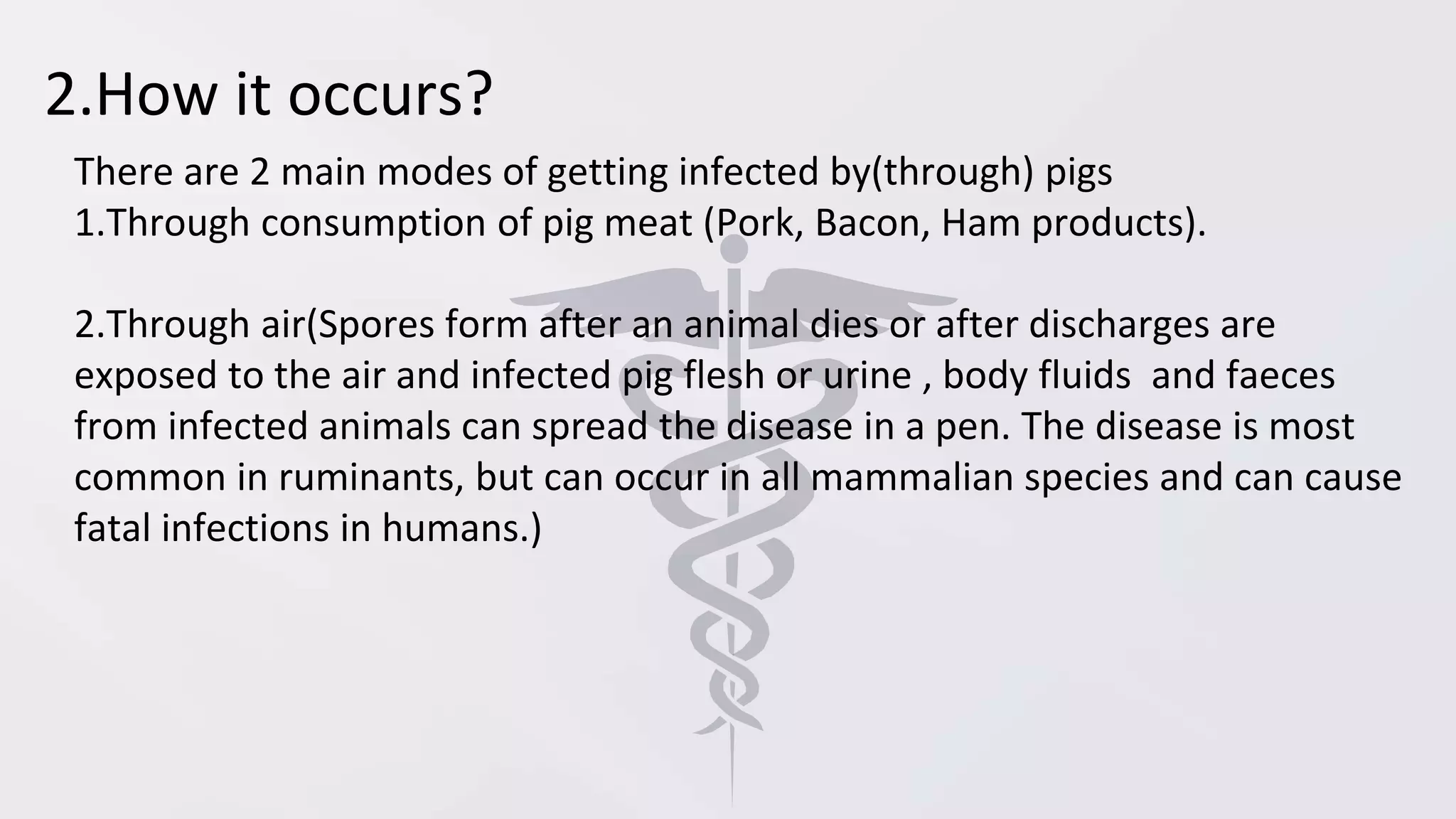 Pig borne diseases redone | PPTX