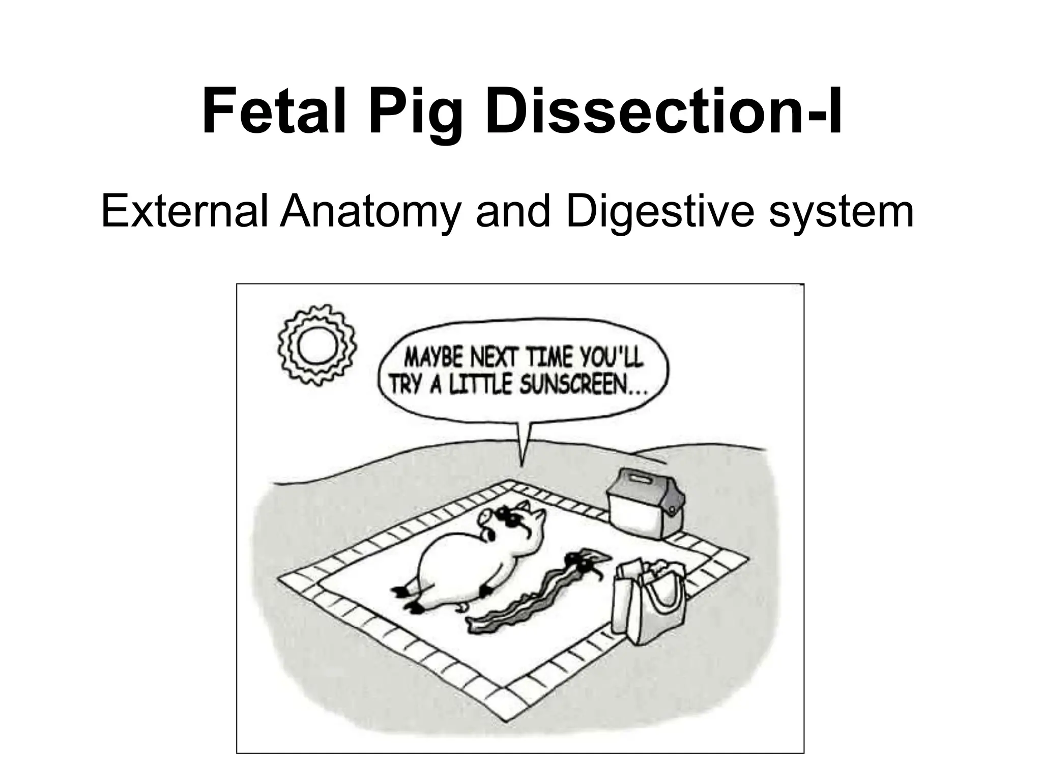 General Biology Fetal Pig Dissection-I.ppt