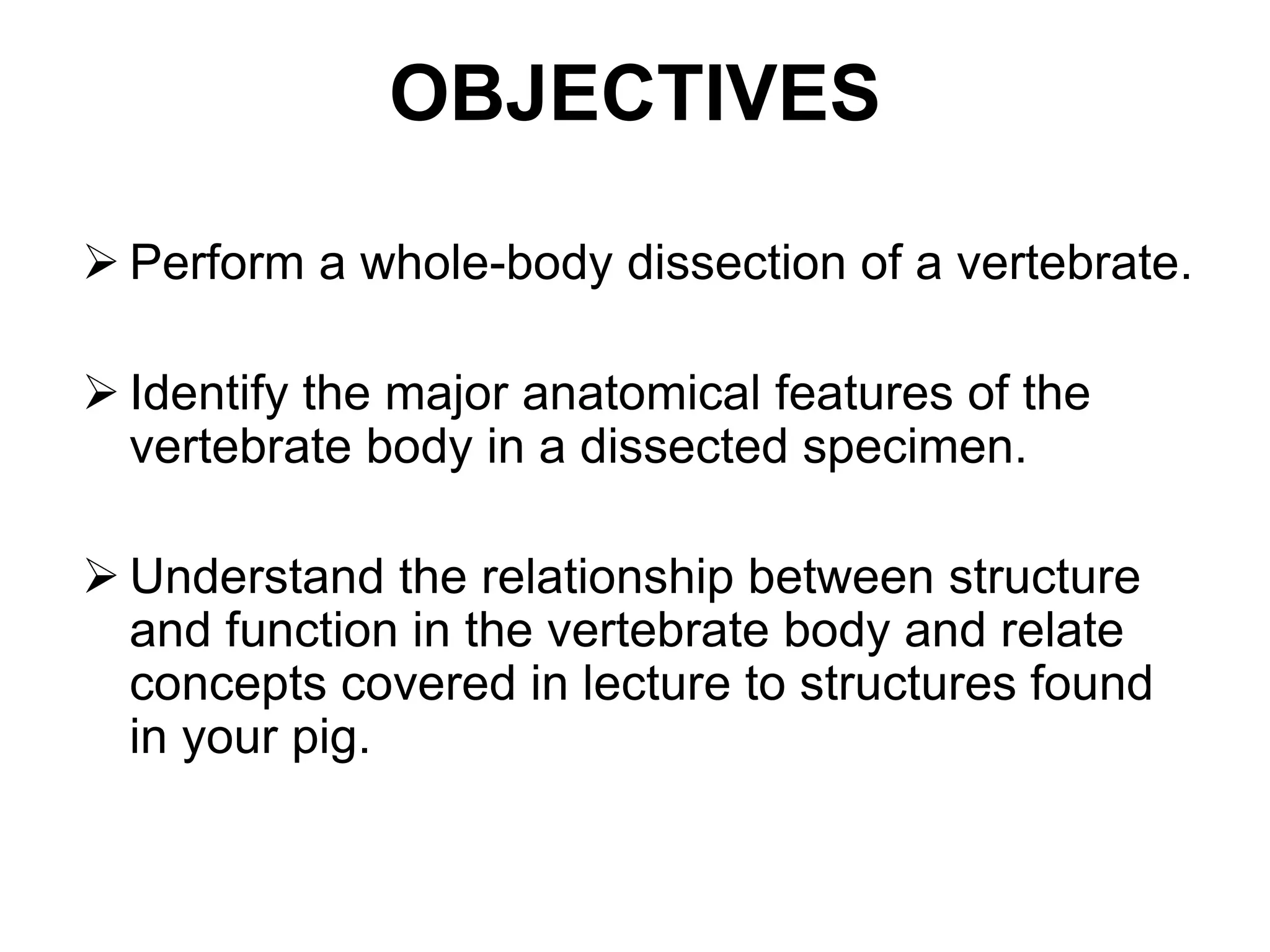 General Biology Fetal Pig Dissection-I.ppt