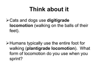 General Biology Fetal Pig Dissection-I.ppt