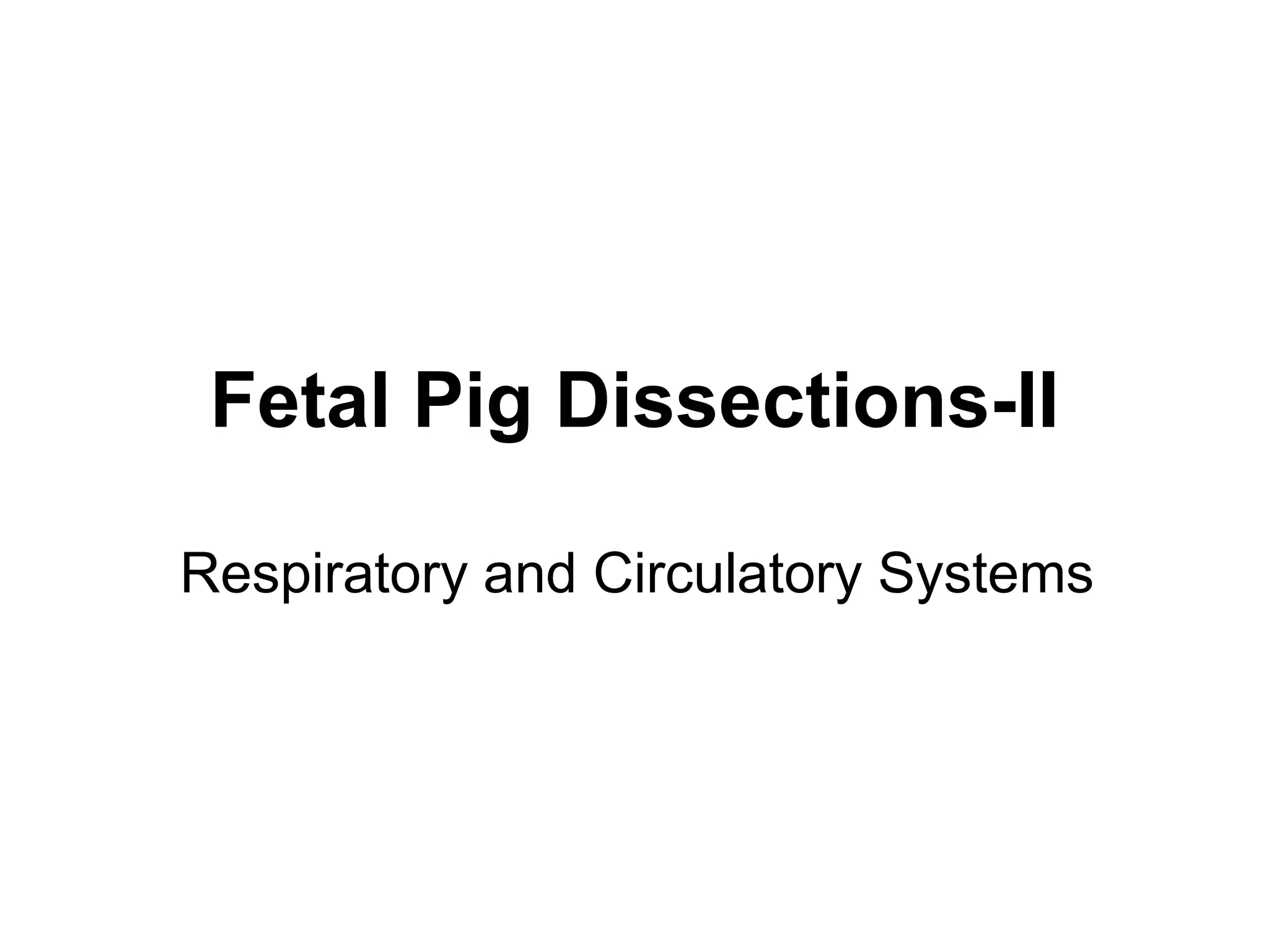 General BIO TWO Fetal Pig Dissection II.ppt