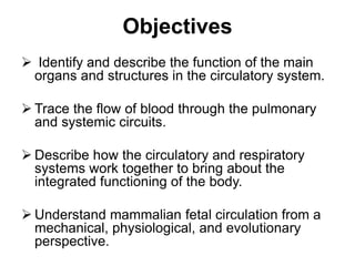 General BIO TWO Fetal Pig Dissection II.ppt