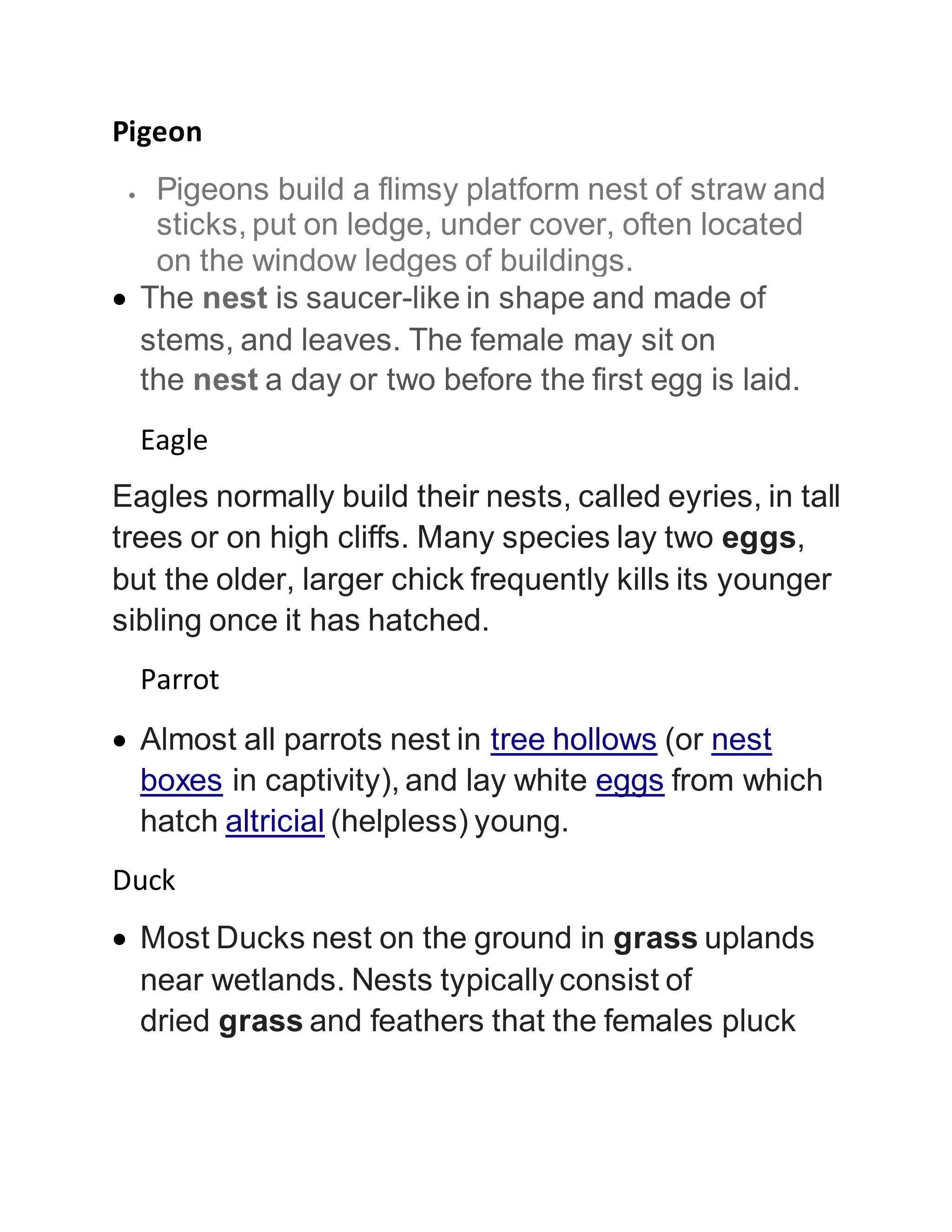 Pigeon | DOCX