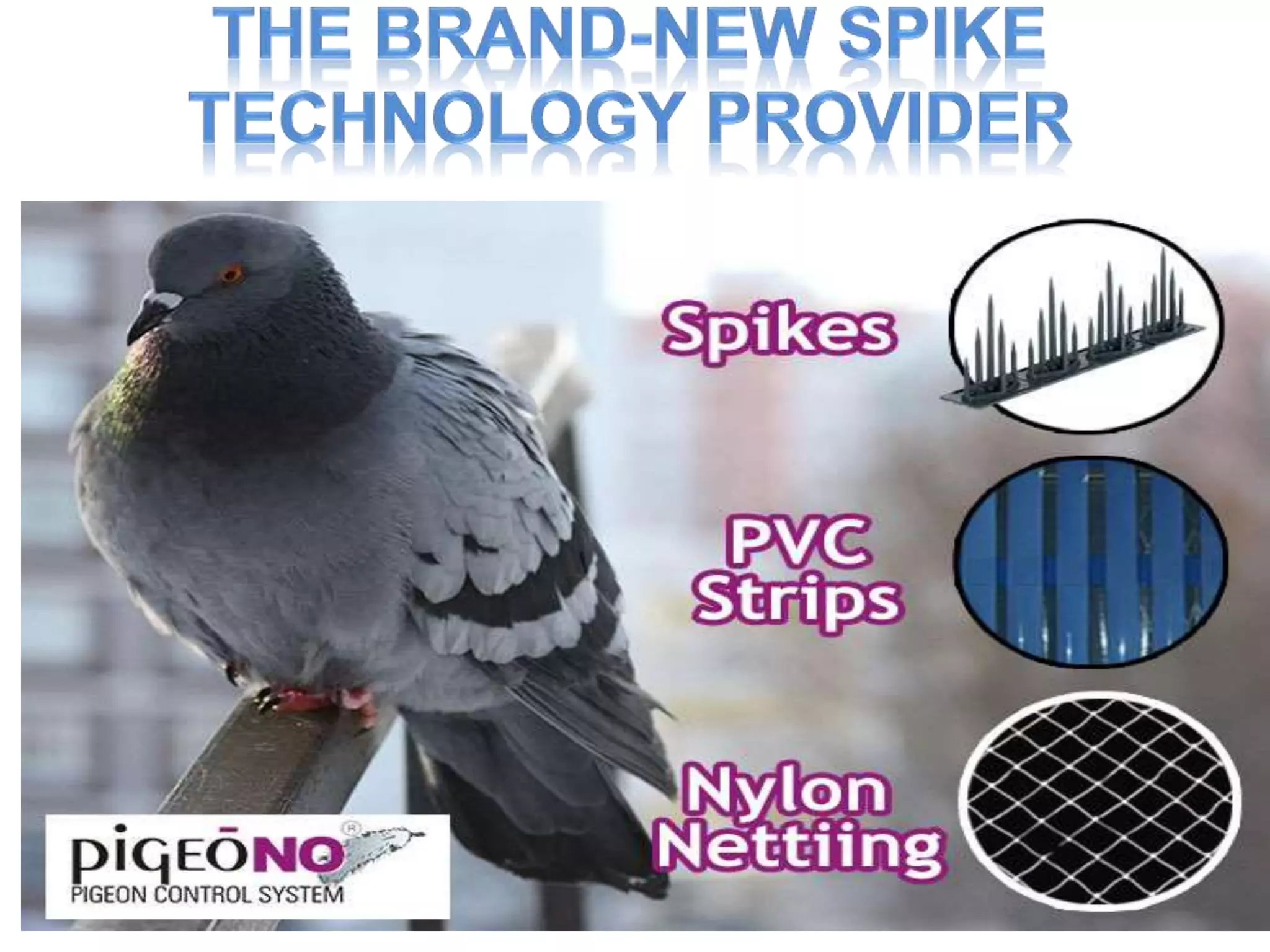 Pigeono bird-control-product | PPTX
