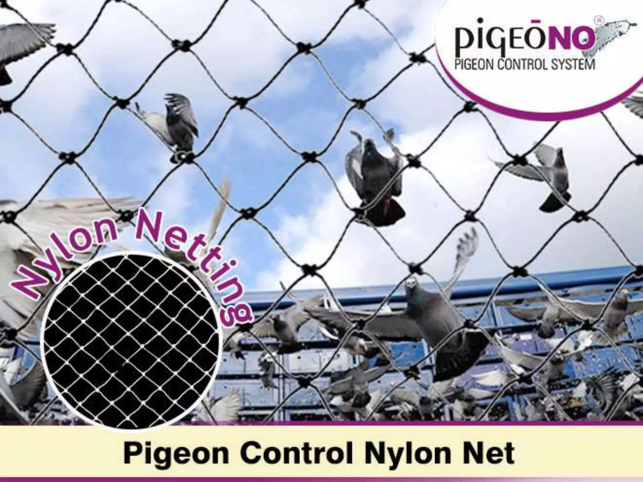 Pigeono bird-control-product | PPTX