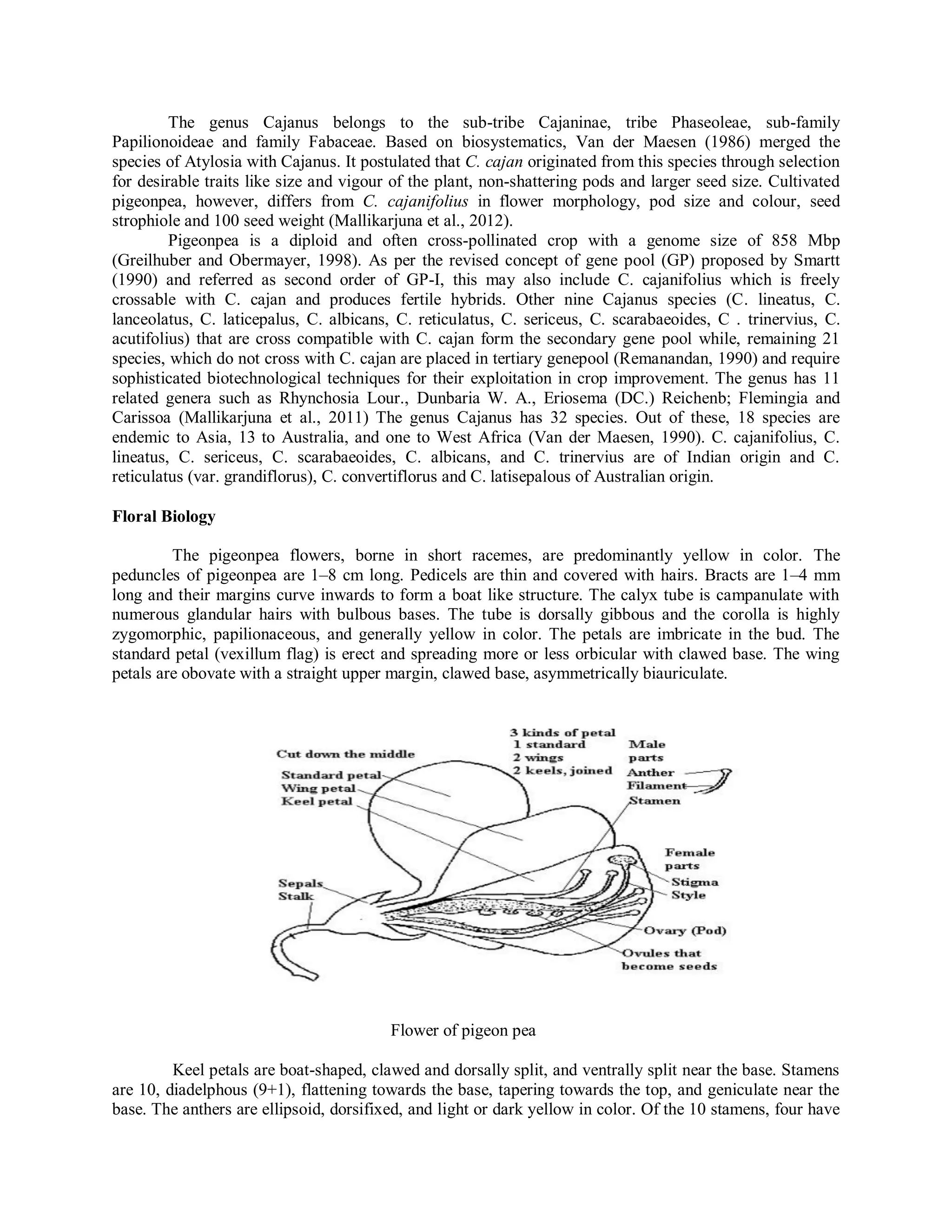 Pigeon pea Breeding- Crop Improvement kharif | PDF