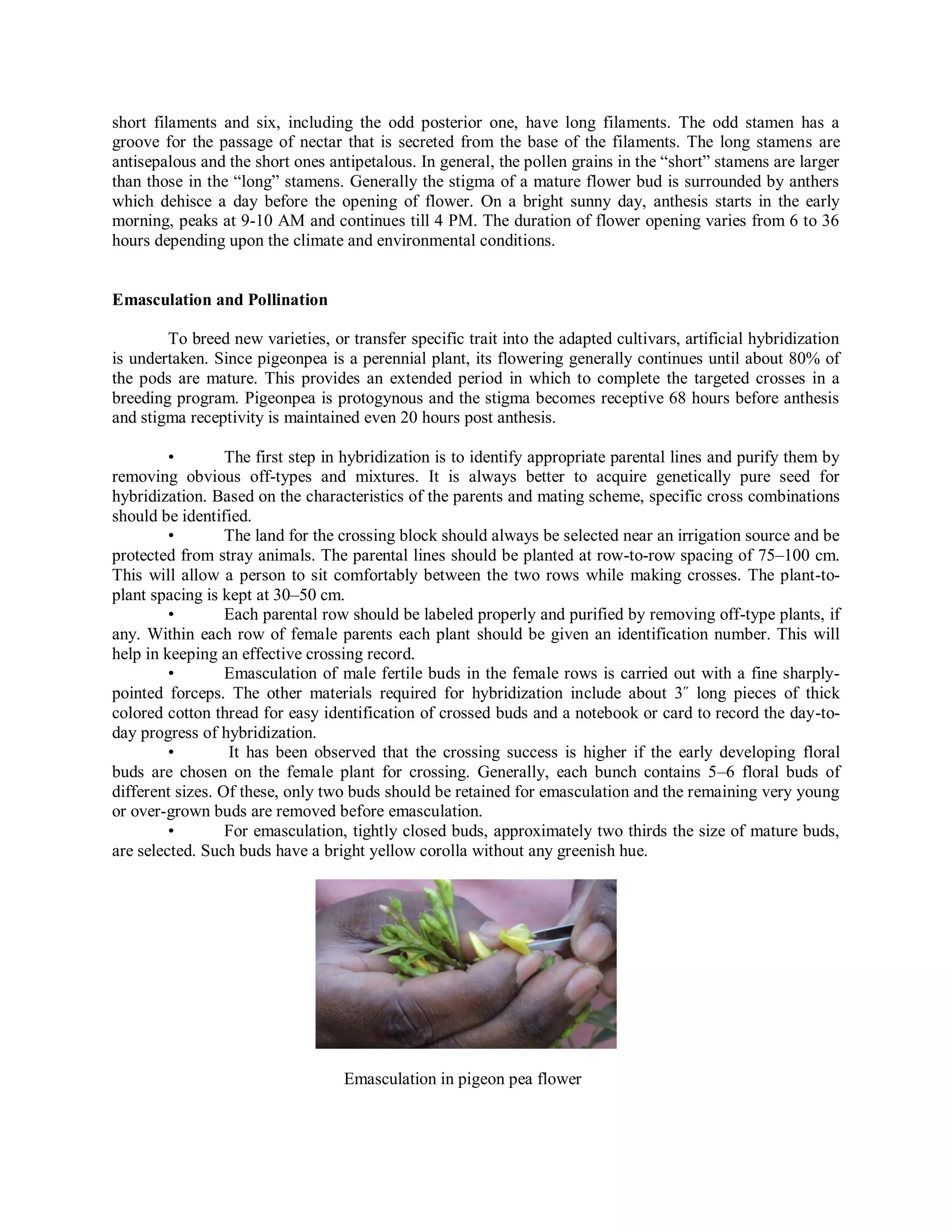 Pigeon pea Breeding- Crop Improvement kharif | PDF
