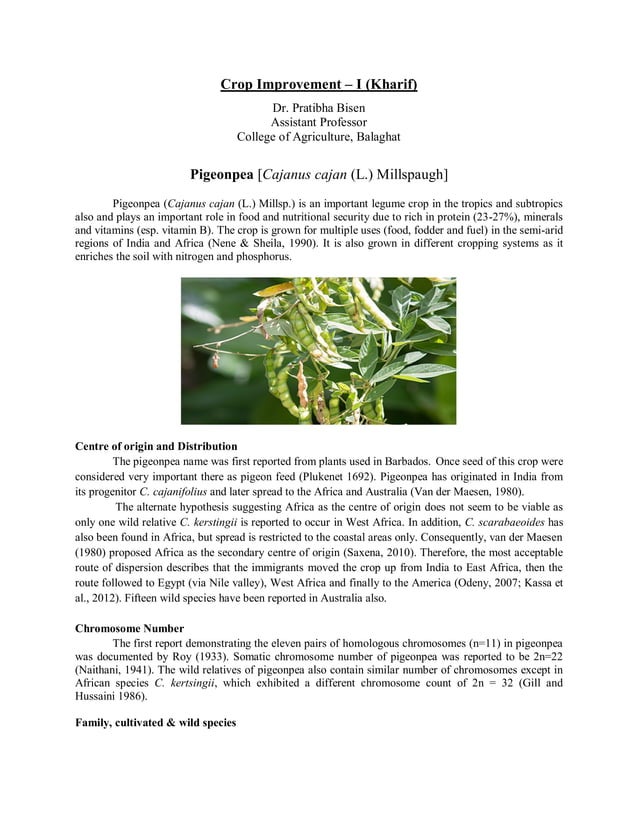 Pigeon pea Breeding- Crop Improvement kharif | PDF