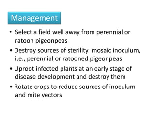 VIRUS DISEASES OF PIGEON PEA pigeonpea.pptx