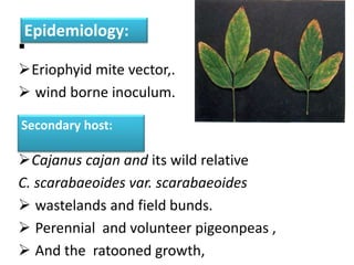 VIRUS DISEASES OF PIGEON PEA pigeonpea.pptx