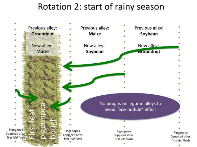 Bountiful farming | PPTX
