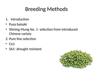 Pigeon pea breeding, different types of breeding | PPTX