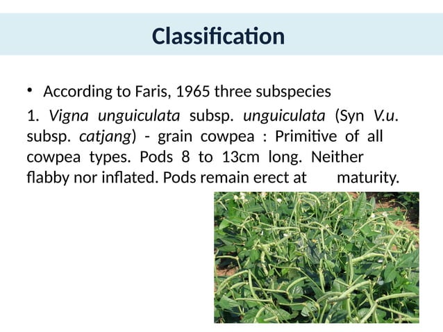 Pigeon pea breeding, different types of breeding | PPTX