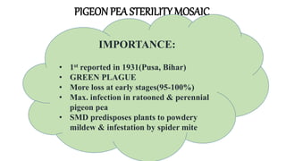 Pigeon pea diseases RLBCAU | PPTX