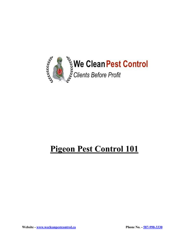 Pigeon Pest Control 101 | PDF
