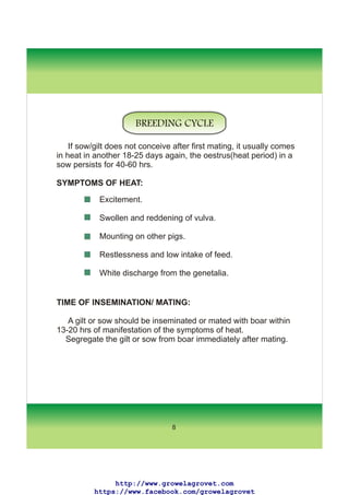 Pig Farming Guide | PDF