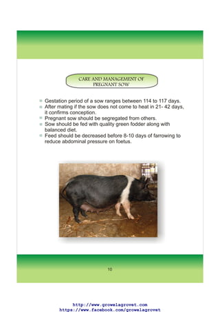 Pig Farming Guide | PDF