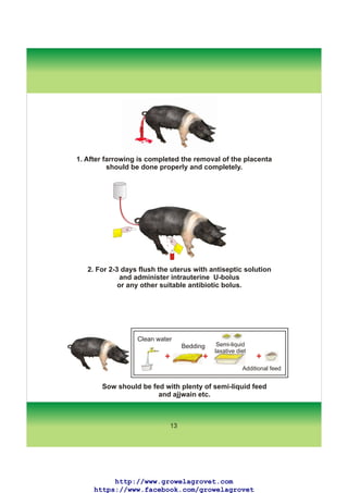 Pig Farming Guide | PDF
