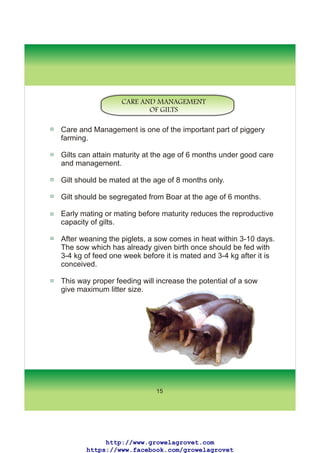 Pig Farming Guide | PDF