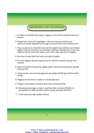 Pig Farming Guide | PDF