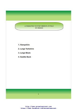 Pig Farming Guide | PDF