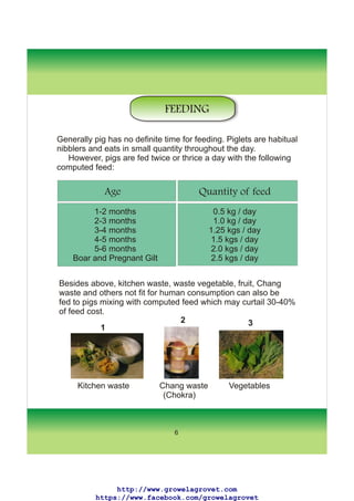 Pig Farming Guide | PDF