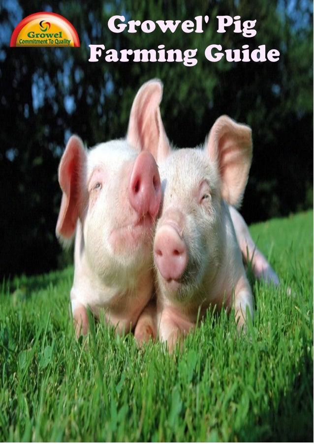 Pig Farming Guide pig-farming-guide