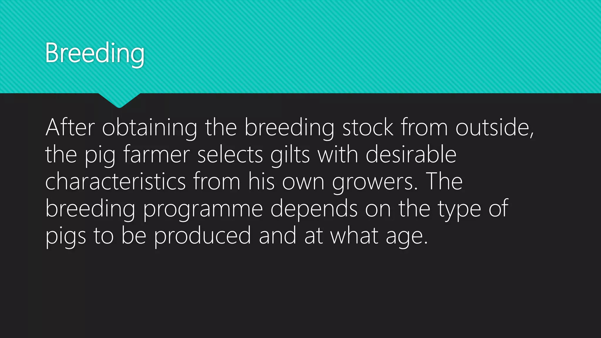 Pig farming in kenya | PPTX