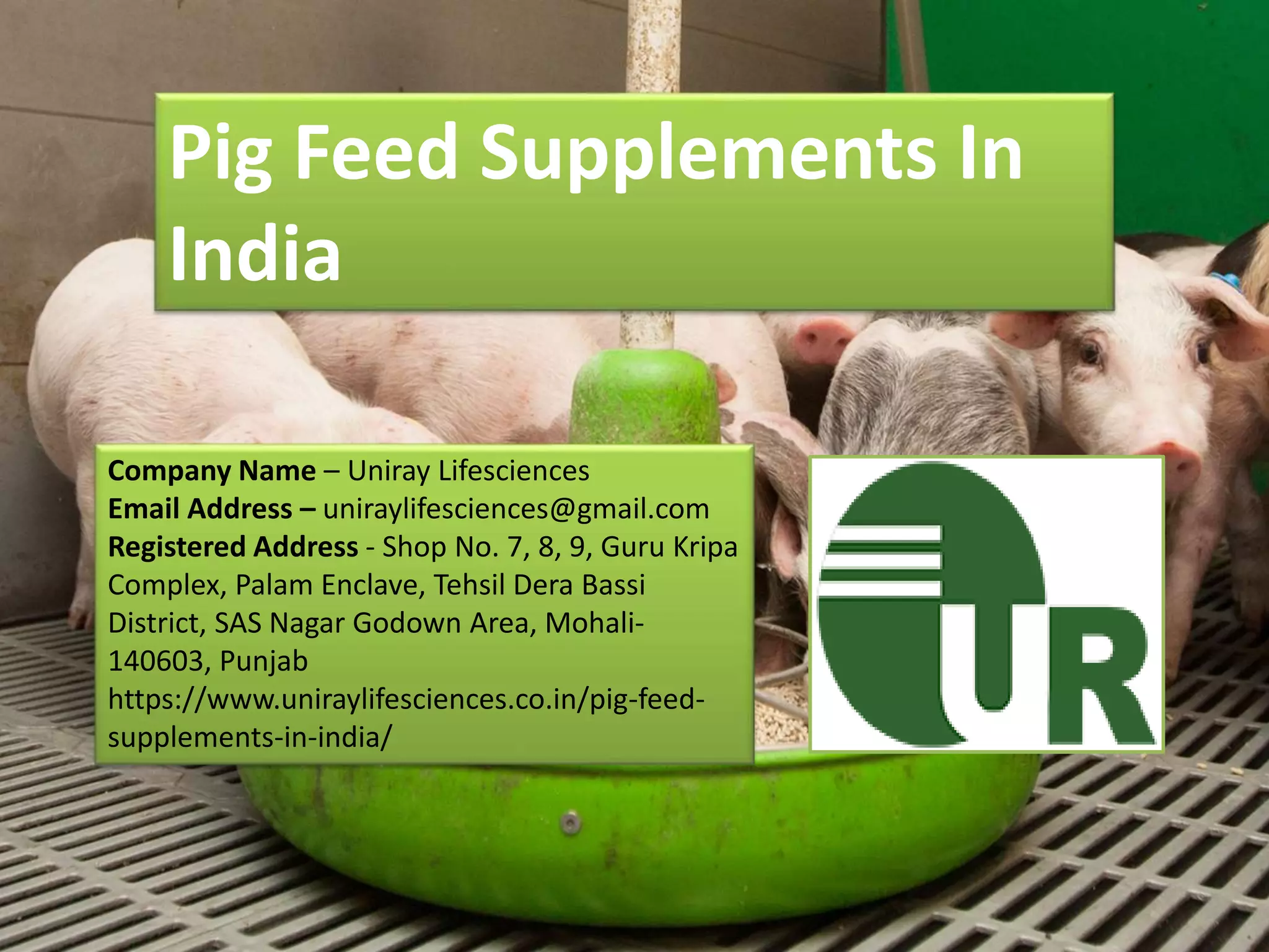 Pig Feed Supplements In India | PPT