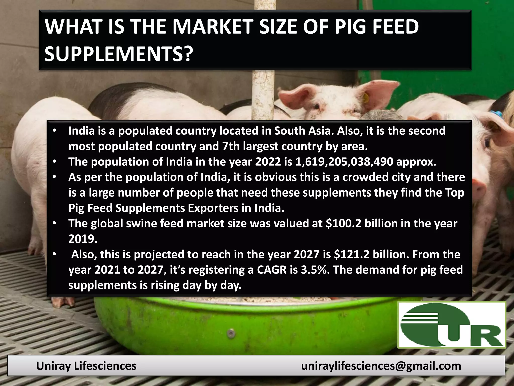Pig Feed Supplements In India | PPT