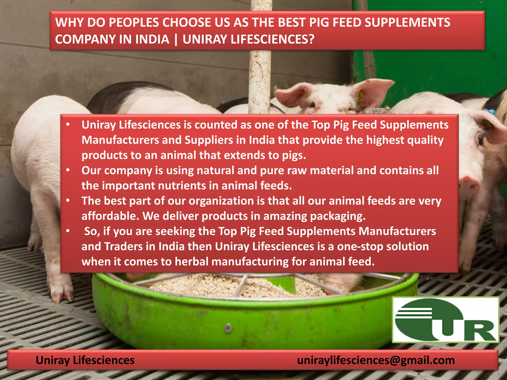Pig Feed Supplements In India | PPT