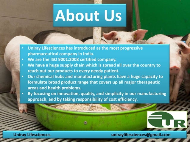 Pig Feed Supplements In India | PPT