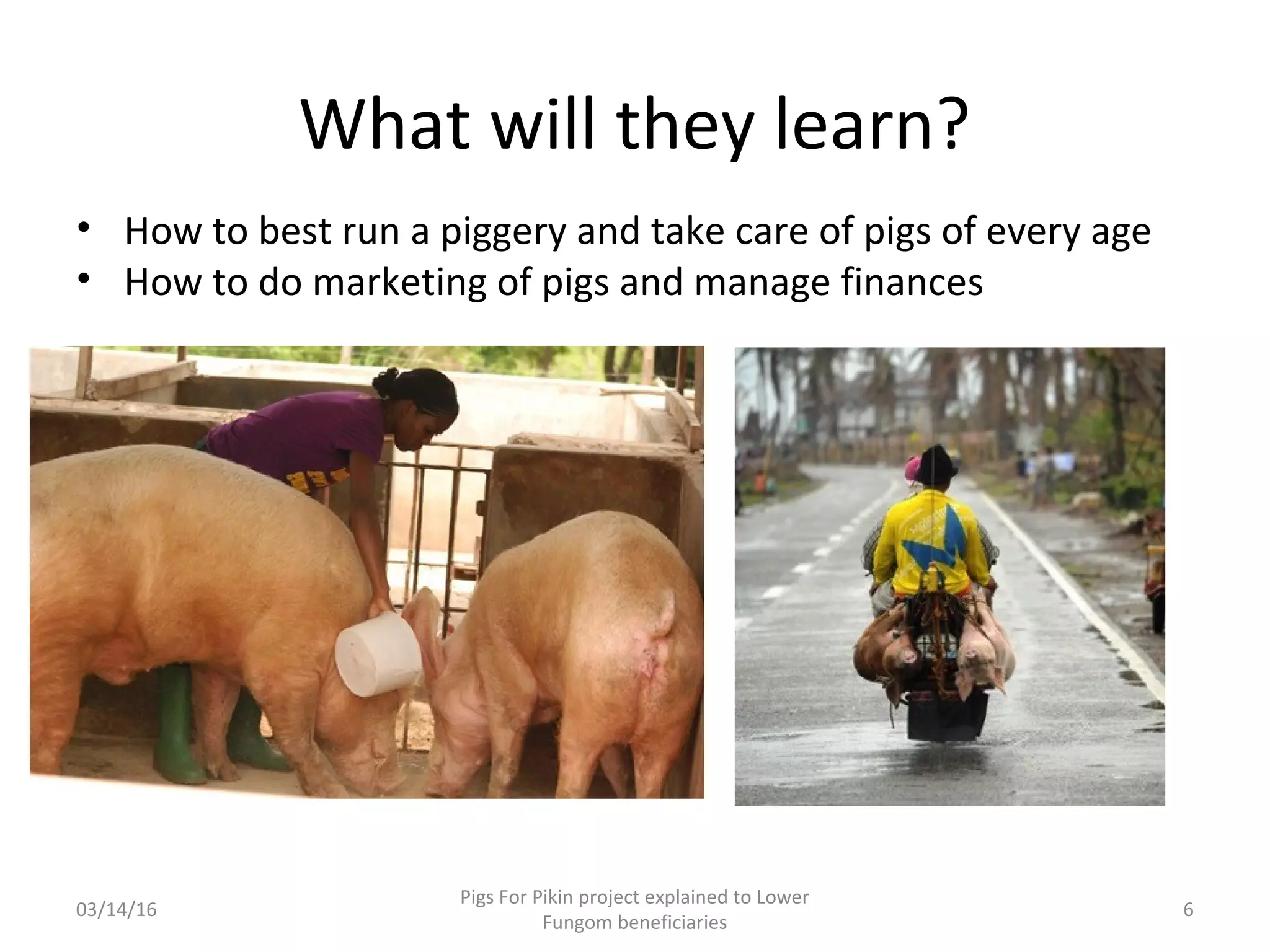Pig for Pikin presentation-25jul2015 | PPT