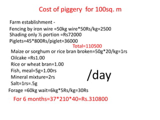 Piggery farming | PPTX