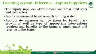 PIGGERY PRESENTATION BY NABARD for all types | PPTX