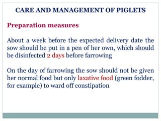 Piglet management | PPTX