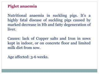 Piglet management | PPTX