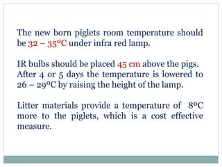 Piglet management | PPTX