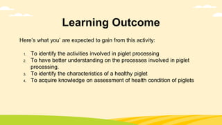 Piglet Processing.pptx